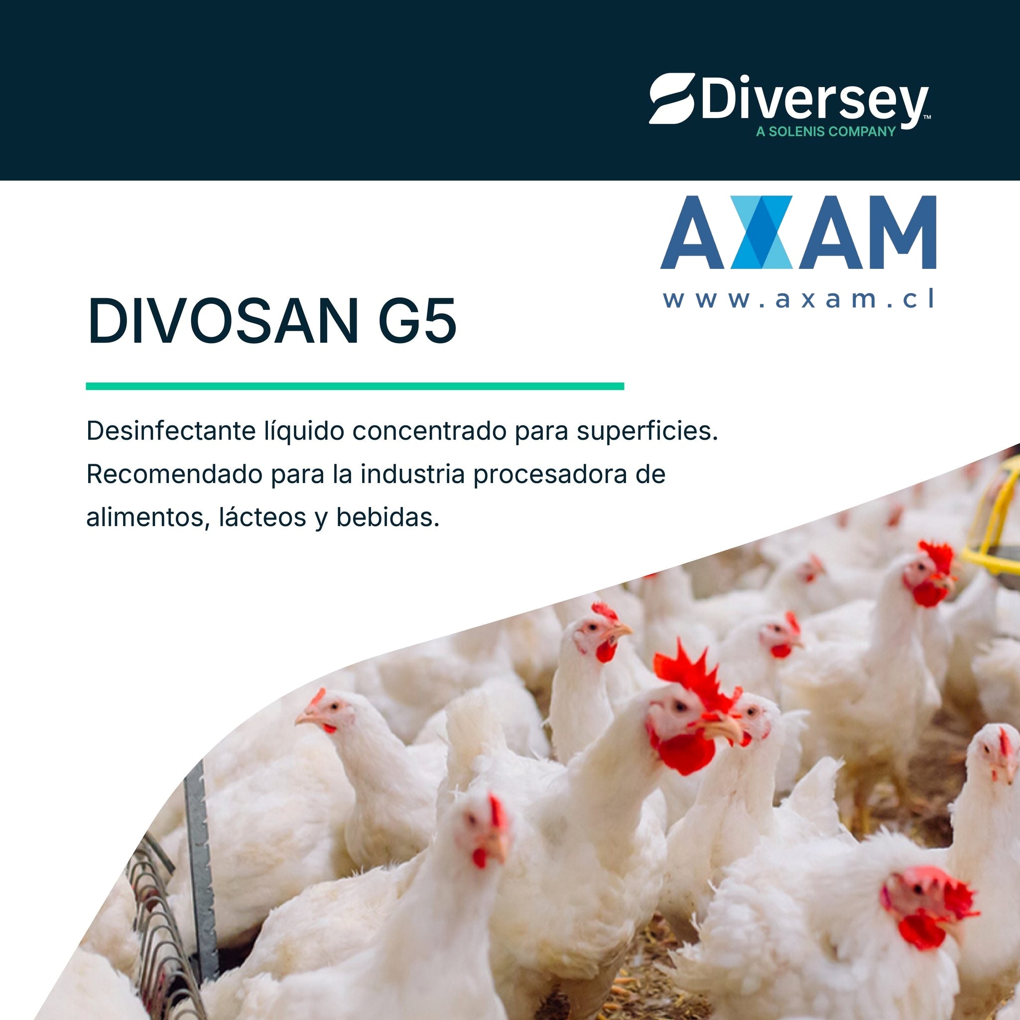 Protege tu industria alimentaria con Divosan G5 de AXAM